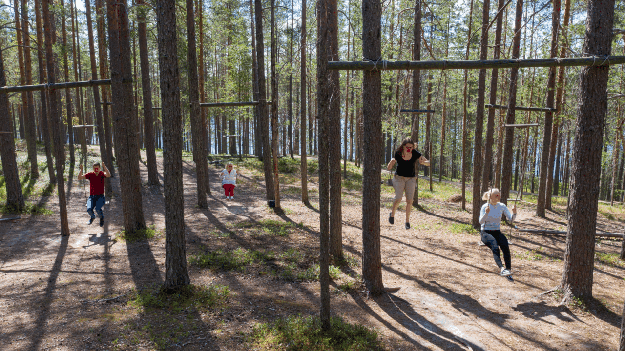 Soiva Metsä - Visit Suomussalmi